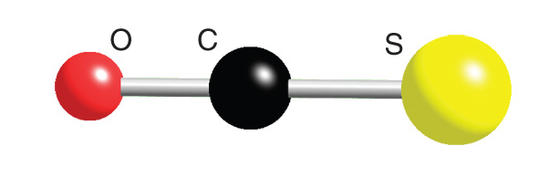 Carbonyl sulfide - OCS