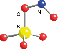 [SO4NO]-