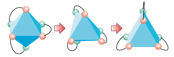 Distortions of a octahedral complex with chelating ligands